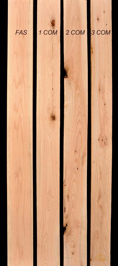 Red Oak Side 1 - Red Oak Lumber - Thompson Hardwoods, Inc