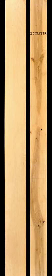 Tupelo Side 1 - Tupelo Lumber - Thompson Hardwoods, Inc